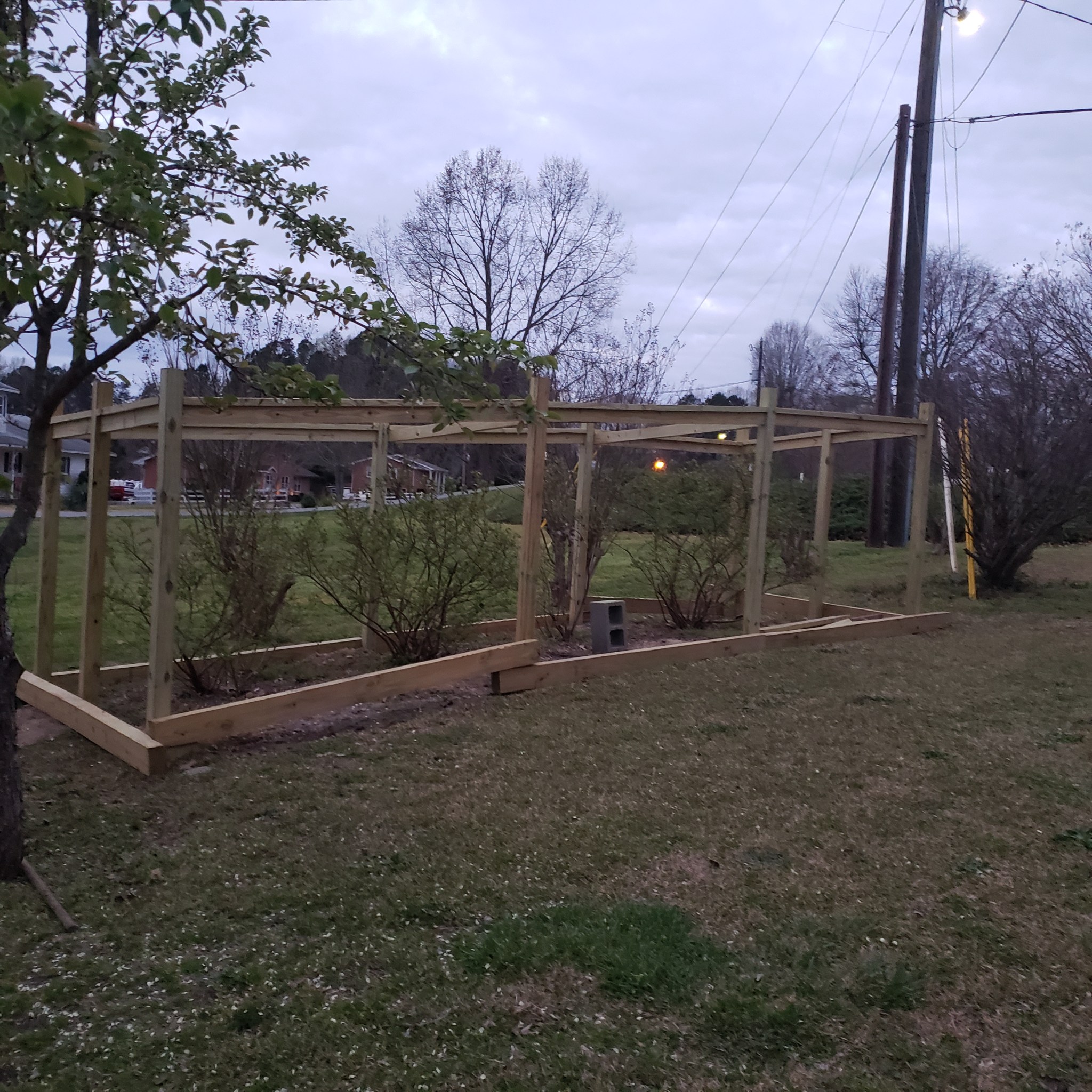 Blueberry Cage – PEARLHUNTER • Margaret D. Minuth