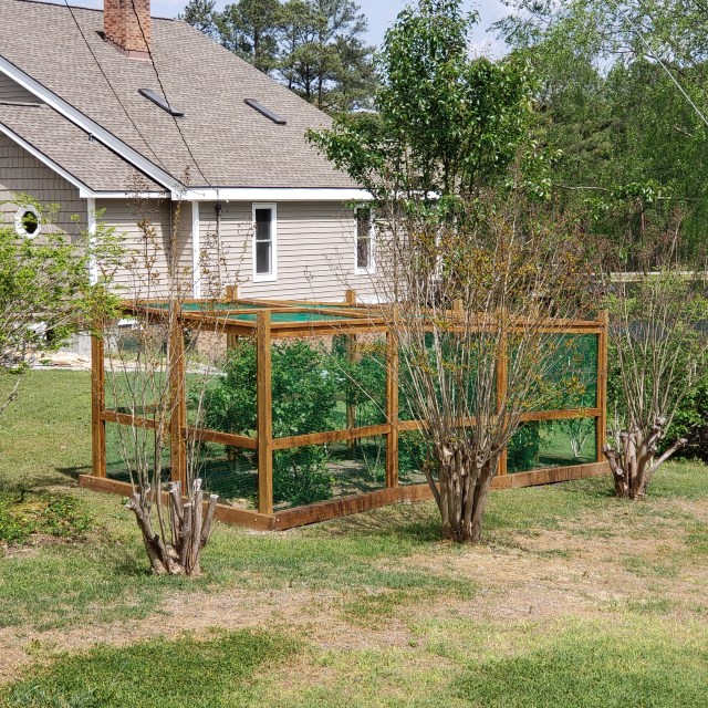 Blueberry Cage – PEARLHUNTER • Margaret D. Minuth